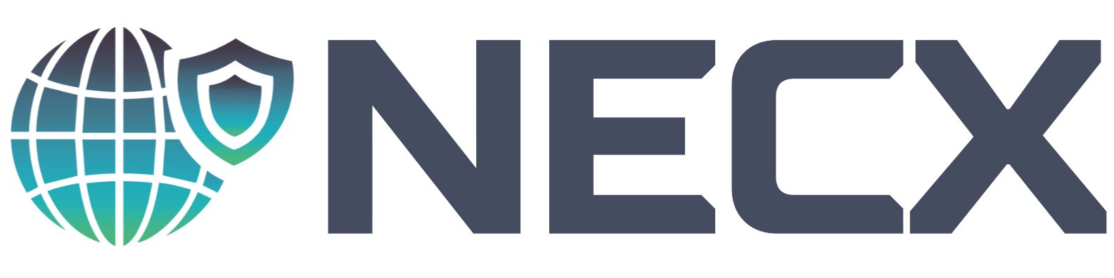 Human Services Case Management & Grant Reporting Software | NECX